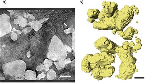 X Ray Zernike Phase Contrast Nano Ct On S Composite Used Carbon Binder Download Scientific