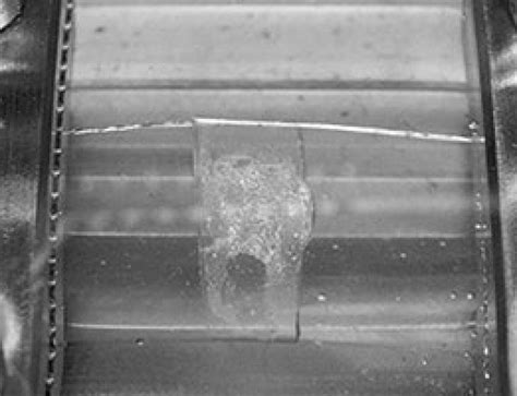 Specimen Alignment In Material Testing Admet