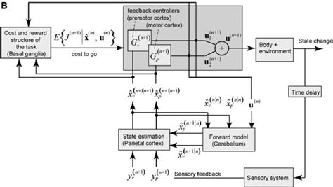 Figure From MODELING OF HUMAN MOTOR CONTROL AND ITS APPLICATION IN HUMAN INTERACTION WITH