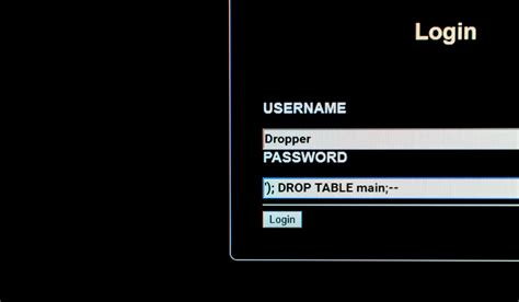 Top Web Application Vulnerabilities 2025 Wattlecorp Cybersecurity Labs
