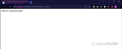 Net漏洞利用场景之解析cshtml 董川民