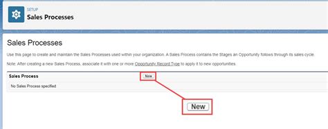Add Values To Opportunity Stage Picklist In Salesforce