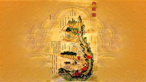 Microcosmic Orbit Chen Yingjun Tai Chi Ottawa