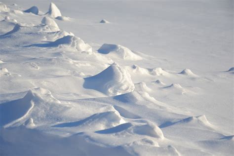 무료 이미지 겨울 들 설원 Snowdrifts 표면 구조 설화 자연 보호 구역 깨끗한 눈 화이트 그림자