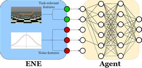 Automatic Noise Filtering With Dynamic Sparse Training In Deep