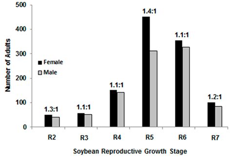 Insects Free Full Text Oviposition And Sex Ratio Of The Redbanded