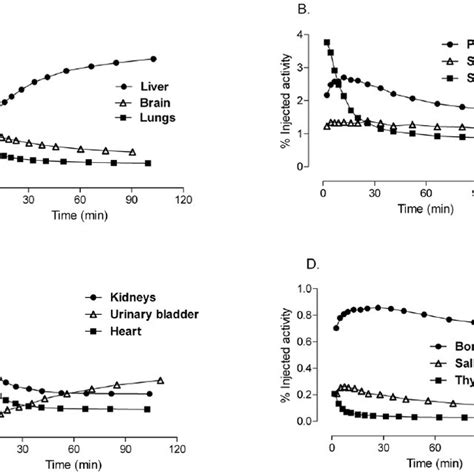 Time Activity Curves For Identifiable Organs After Injection Of 11