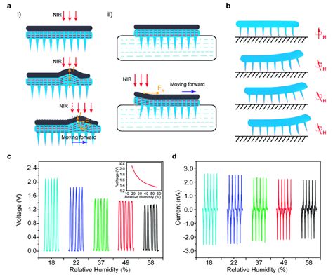 Locomotion Analysis Of The Multi Legged Soft Millirobot And The Signals