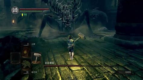 Ds1 Sl1 Gaping Dragon No Roll Block Parry Hit Youtube