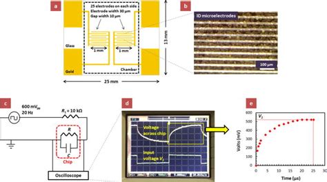 On Chip Microelectrode Impedance Analysis Of Mammalian Cell Viability During Biomanufacturing