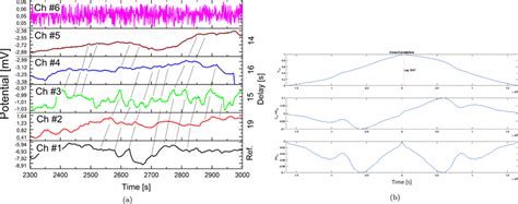 A Portion Of Recordings Of Spontaneous Spiking Activity Of The
