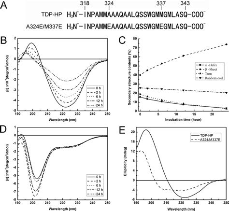 Structural Transformation And Aggregation Of The Tdp Hp Peptide And Its