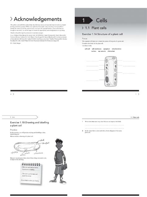 Y7 Science Workbook Full Pdf