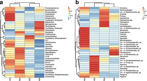 Heat Map Of Key Bacterial A And Fungal B Taxa At The Genus Level
