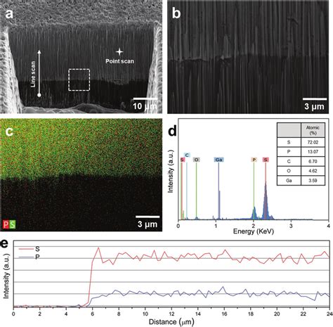 Sem And Eds Characterizations For The L3ps Solid Electrolyte A Download Scientific Diagram