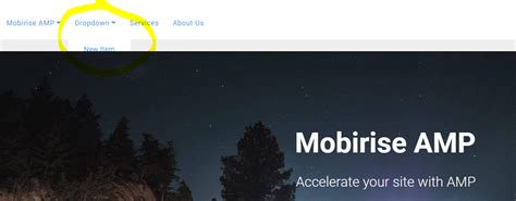 Dropdown Menu Item Not Shown Properly After Published Mobirise Forums