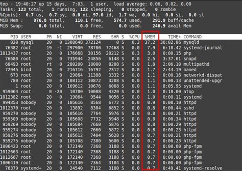 cara cek resource usage di vps melalui ssh