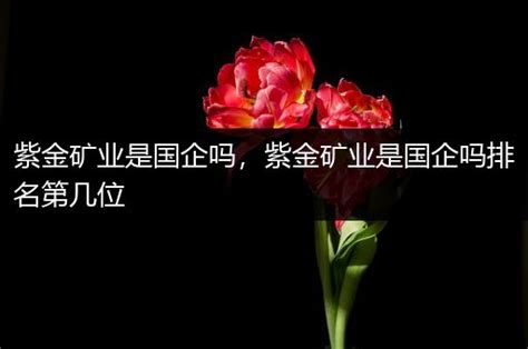 紫金矿业是国企吗，紫金矿业是国企吗排名第几位 比翼知识网