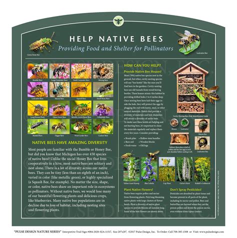 Pdns Honey Bee And Native Bee Identification Guide Pollinator Habitat Outdoor Interpretive Sign