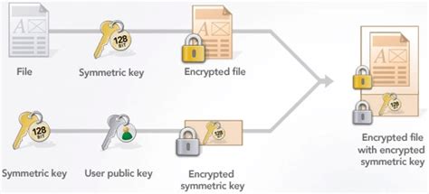 Hybrid Cryptography Scheme Download Scientific Diagram