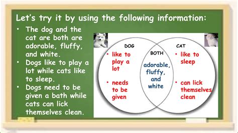 WRITING COMPARE AND CONTRAST PARAGRAPHS Pptx