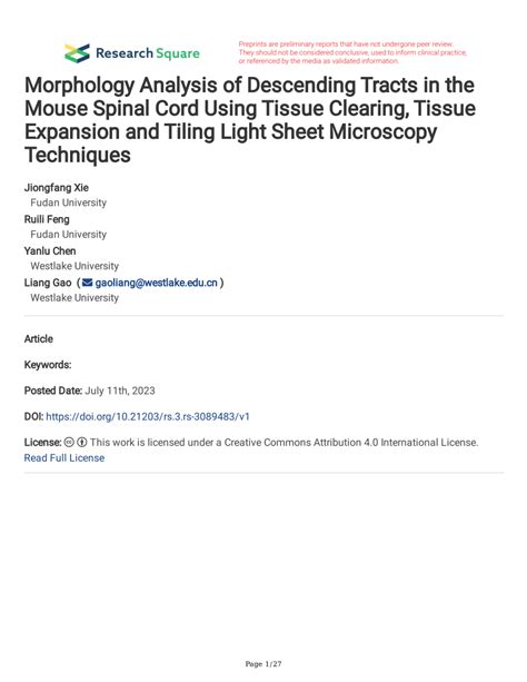 Pdf Morphology Analysis Of Descending Tracts In The Mouse Spinal Cord