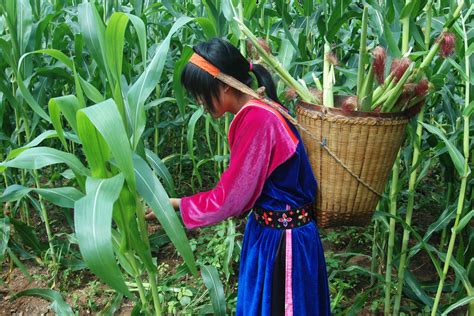 Oral Tradition Schools Cultural Crossroads Asia