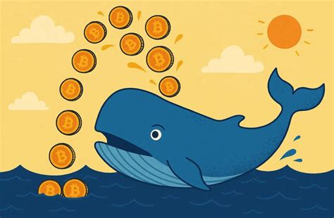 Whale Activity On Binance Signals Bitcoin Breakout Incoming Says Cryptoquant