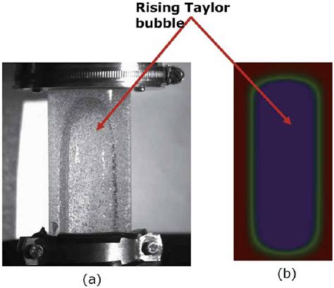 Rising Taylor Bubble From A High Speed Camera And B Ect Instrument