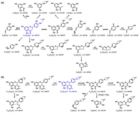 Proposed Ms Ms Fragmentation Pattern Of Flavonoids Eriodictyol A And Download Scientific