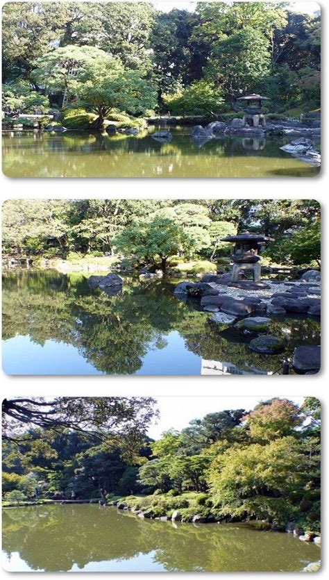 旧古河庭園・日本庭園 Youko2のブログ
