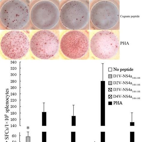 Dengue Virus Serotypes And Disease Severity 2002 05 Download Table