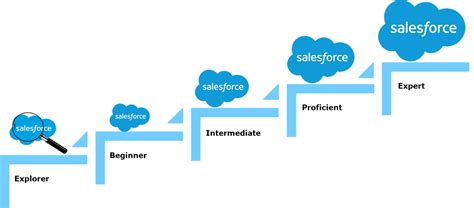 Sfdc 101 Common Questions When Starting With Salesforce Themaxworld
