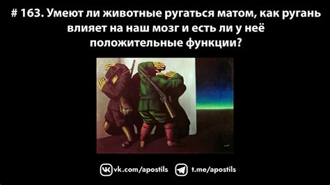 # 163. Умеют ли животные ругаться матом, как ругань влияет на наш мозг ...
