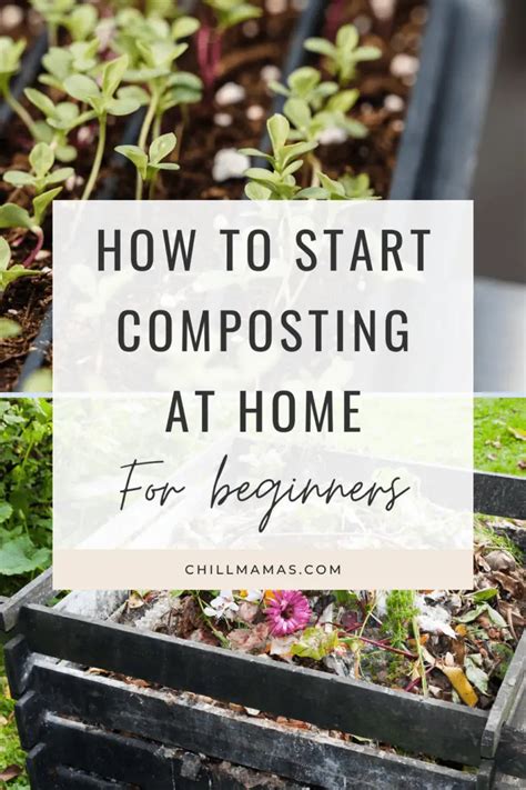 How To Start Composting At Home For Beginners Quick Guide