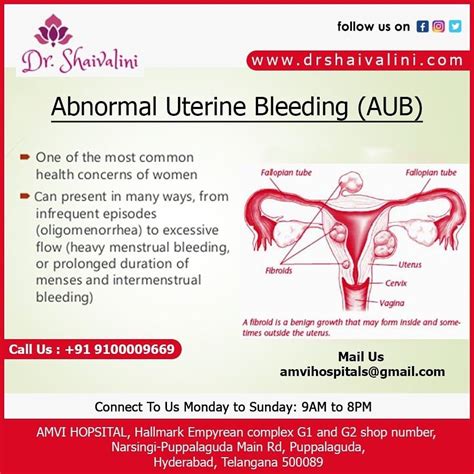 Chicago Ob Gyn Explains Causes Of Abnormal Vaginal Bleeding Artofit