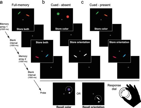 Figure 1 From Obligatory Encoding Of Task Irrelevant Features Depletes