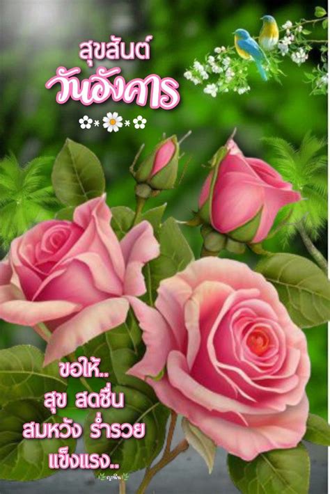 วันอังคาร🌿💞 Flower Show Beautiful Nature Flowers