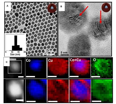 Figure 1 From Modern Chemical Routes For The Controlled Synthesis Of Anisotropic Bimetallic