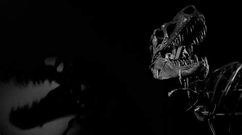 The Tarbosaurus Was Almost As Lethal As The T Rex But With More Teeth