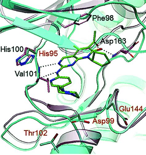 Atp Binding Site Of Cdk6 In Complex With The Inhibitor Palbociclib Download Scientific Diagram