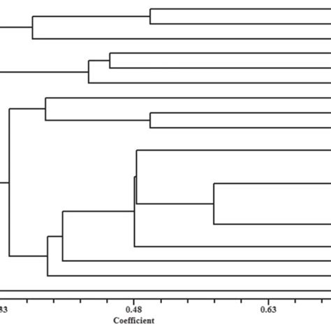 Dendrogram Showing Genetic Relationship Among 20 Gladiolus Genotypes