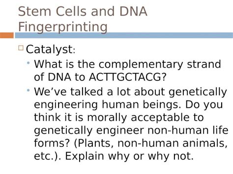 Ppt Stem Cells And Dna Fingerprinting Catalyst What Is The Complementary Strand Of Dna To