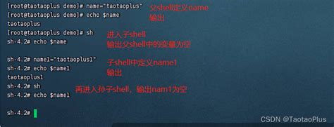 shell变量详解 shell 变量名是常量 变量 csdn博客