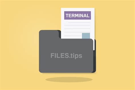 TERMINAL File Extension What Is TERMINAL File And How Do I Open It