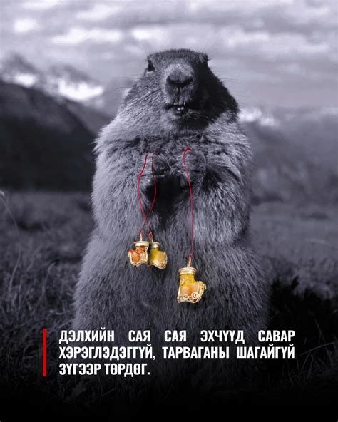 ӨМНӨГОВЬ ЦАГДААГИЙН ГАЗАР Facebook