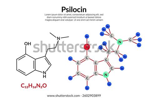 Psilocin Structure Over 85 Royalty Free Licensable Stock Illustrations And Drawings Shutterstock