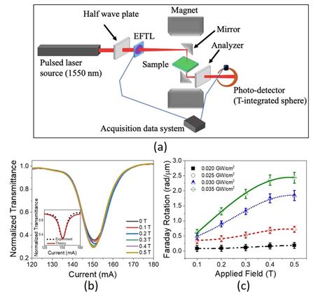 A Schematic Diagram For Experimental Setup Of The Download Scientific Diagram