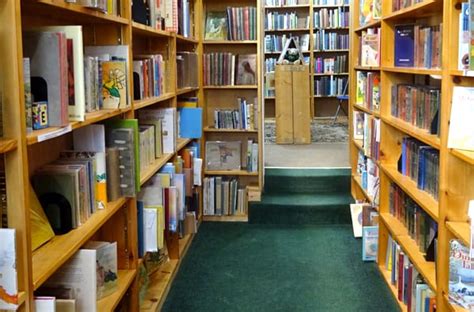 Visit The Forest Of Dean And Wye Valley Stella And Roses Books