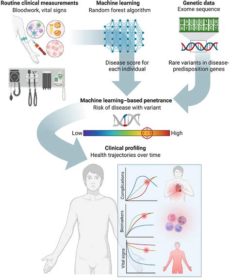 Science A New Machinelearning Approach Is Helping To Estimate The